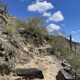 Ruth Hamilton Trail, Arizona - 3,084 Reviews, Map | AllTrails