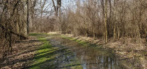 Best Hikes and Trails in Pearson Metro Park | AllTrails
