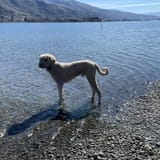 Entiat Park Trail, Washington - 46 Reviews, Map | AllTrails