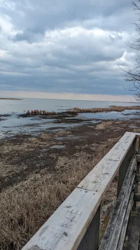 Best Hikes and Trails in Pinconning County Park | AllTrails