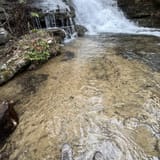 Greeter Falls Loop and Greeter Trail to Alum Gap, Tennessee - 1,056 ...