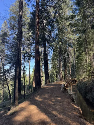 Best Hikes and Trails in Cedar Ridge | AllTrails