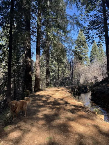 Best Hikes and Trails in Cedar Ridge | AllTrails