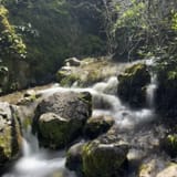Waterfalls of Mount Diablo Loop, California - 2,158 Reviews, Map ...