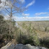Raven Rock Loop Trail, North Carolina - 2,393 Reviews, Map | AllTrails
