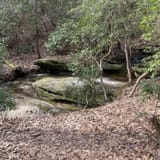Raven Rock Loop Trail, North Carolina - 2,393 Reviews, Map | AllTrails