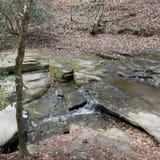 Raven Rock Loop Trail, North Carolina - 2,393 Reviews, Map | AllTrails