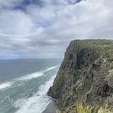 Mercer Bay Loop Track, Auckland, New Zealand - 634 Reviews, Map | AllTrails