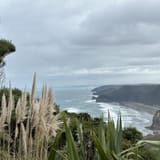 Mercer Bay Loop Track, Auckland, New Zealand - 634 Reviews, Map | AllTrails