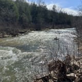 Kings River Falls Trail, Arkansas - 496 Reviews, Map | AllTrails