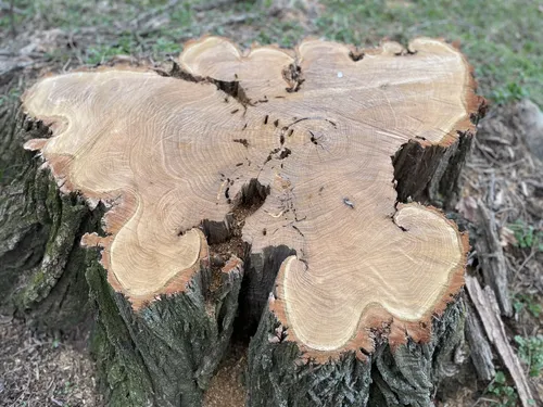 Best Hikes and Trails in Richard Lieber State Recreation Area | AllTrails