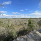 Raven Rock Loop Trail, North Carolina - 2,393 Reviews, Map | AllTrails