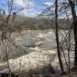 Raven Rock Loop Trail, North Carolina - 2,393 Reviews, Map | AllTrails