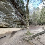 Raven Rock Loop Trail, North Carolina - 2,393 Reviews, Map | AllTrails