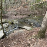 Raven Rock Loop Trail, North Carolina - 2,393 Reviews, Map | AllTrails