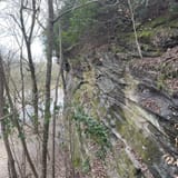 Raven Rock Loop Trail, North Carolina - 2,410 Reviews, Map | AllTrails