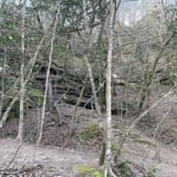 Raven Rock Loop Trail, North Carolina - 2,410 Reviews, Map | AllTrails