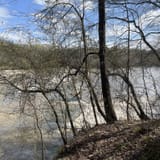 Raven Rock Loop Trail, North Carolina - 2,410 Reviews, Map | AllTrails