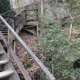 Raven Rock Loop Trail, North Carolina - 2,410 Reviews, Map | AllTrails