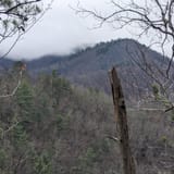 Spruce Flats Falls Trail, Tennessee - 2,728 Reviews, Map | AllTrails