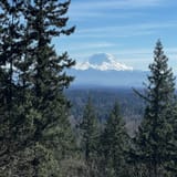 Echo Peak Loop Trail, Washington - 1,397 Reviews, Map | AllTrails