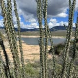 Bartlett Reservoir Trail , Arizona - 349 Reviews, Map | AllTrails