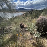 Bartlett Reservoir Trail , Arizona - 349 Reviews, Map | AllTrails