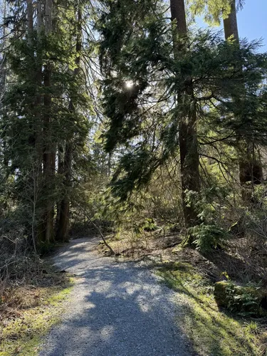 Best Road Biking Trails in Port Coquitlam | AllTrails