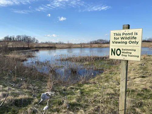 Best Hikes and Trails in Chestnut Grove Natural Area | AllTrails