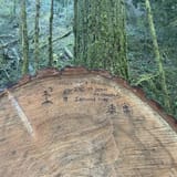 Lower Macleay Park to Pittock Mansion, Oregon - 4,233 Reviews, Map ...