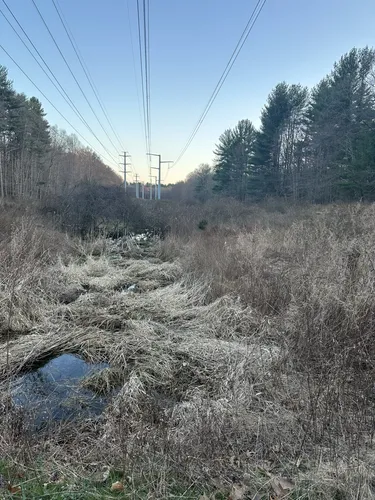 Best Hikes and Trails in Racebrook Tract | AllTrails