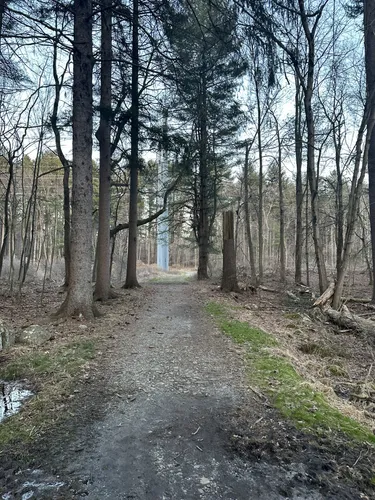 Best Hikes and Trails in Racebrook Tract | AllTrails