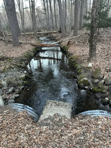 Best Hikes and Trails in Racebrook Tract | AllTrails