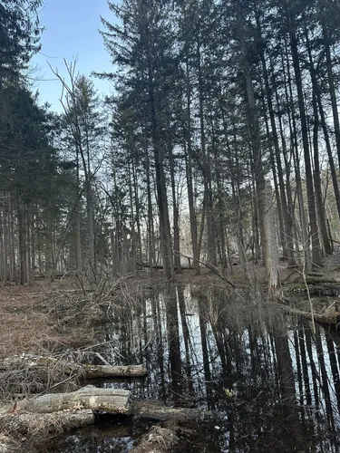 Best Hikes and Trails in Racebrook Tract | AllTrails