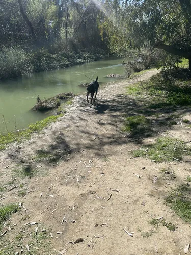 Best Hikes and Trails in Putah Creek Riparian Reserve | AllTrails