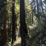 Bootjack Loop, California - 1,797 Reviews, Map | AllTrails