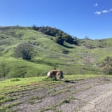 Timberhill Park Trail, California - 228 Reviews, Map | AllTrails