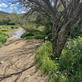 Spur Cross Dragonfly Loop, Arizona - 1,851 Reviews, Map | AllTrails