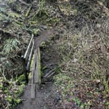 Lime Kiln Trail, Washington - 2,622 Reviews, Map | AllTrails