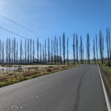 Centennial Trail, Washington - 854 Reviews, Map | AllTrails