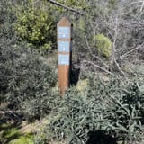 Goodspeed-Nattkemper Trail to Mount Hood Peak and Gunsight Lookout ...