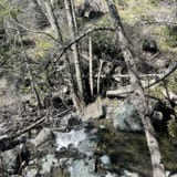 Goodspeed-Nattkemper Trail to Mount Hood Peak and Gunsight Lookout ...