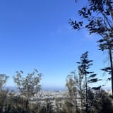 Mount Sutro Loop, California - 2,517 Reviews, Map | AllTrails