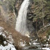 Indian River Trail, Alaska - 278 Reviews, Map | AllTrails