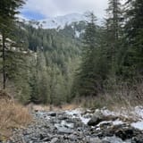 Indian River Trail, Alaska - 278 Reviews, Map | AllTrails