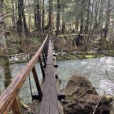 Indian River Trail, Alaska - 278 Reviews, Map | AllTrails