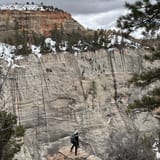 The Grotto Trailhead to The West Rim, Utah - 1,476 Reviews, Map | AllTrails