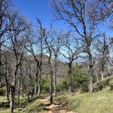 Murietta Falls Trail, California - 826 Reviews, Map | AllTrails