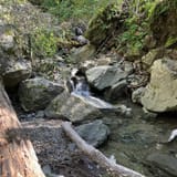 Murietta Falls Trail, California - 826 Reviews, Map | AllTrails