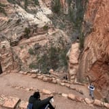 The Grotto Trailhead to The West Rim, Utah - 1,476 Reviews, Map | AllTrails